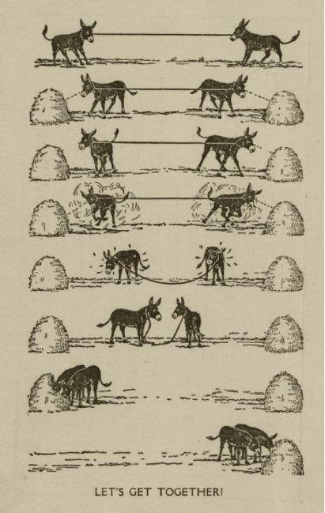 Conflict and the Wisdom of Donkeys