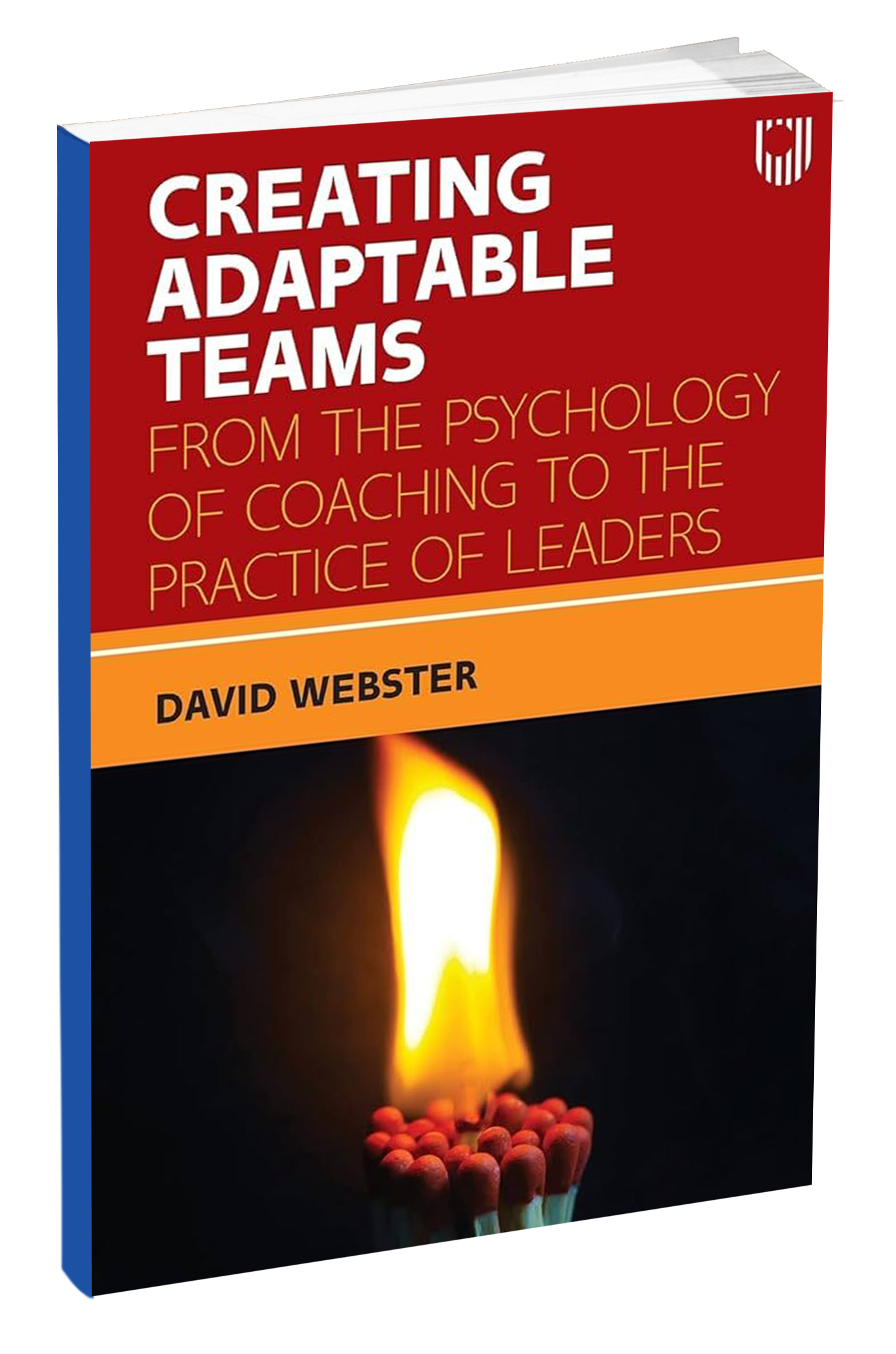 Download Your Free Guide to Teamship in a VUCA Environment